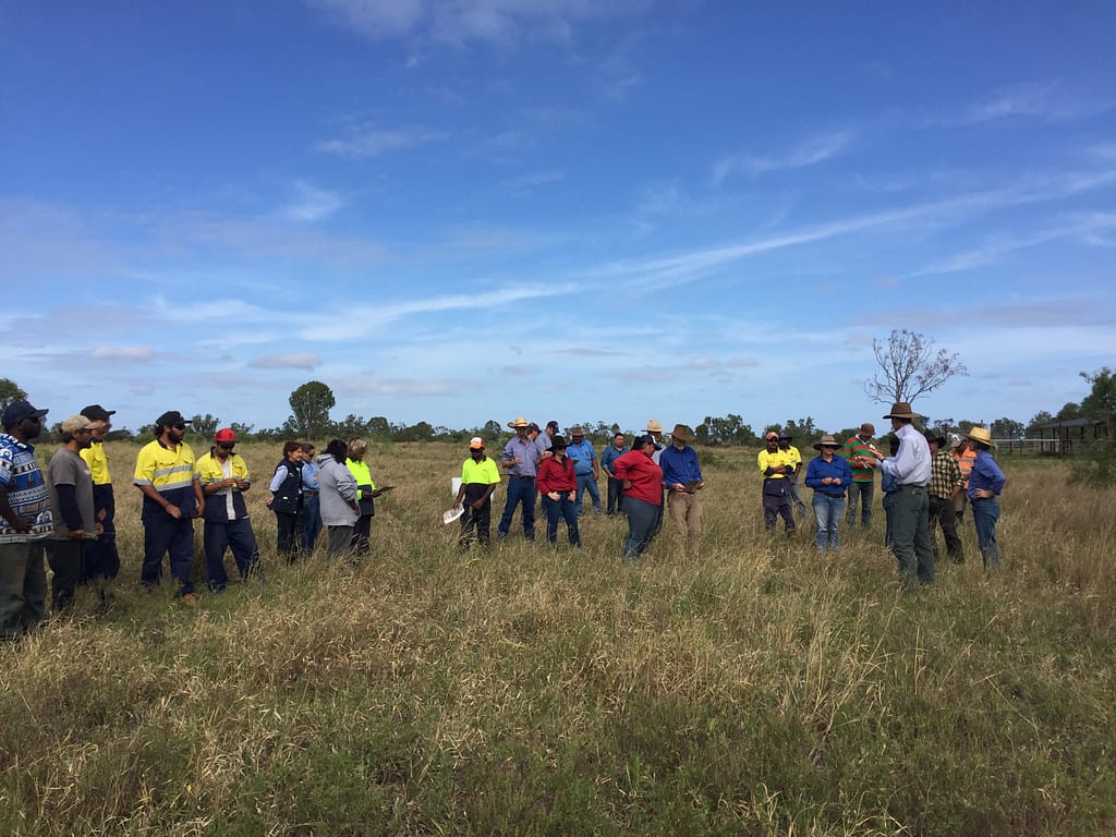 About Us - On Country Management Services